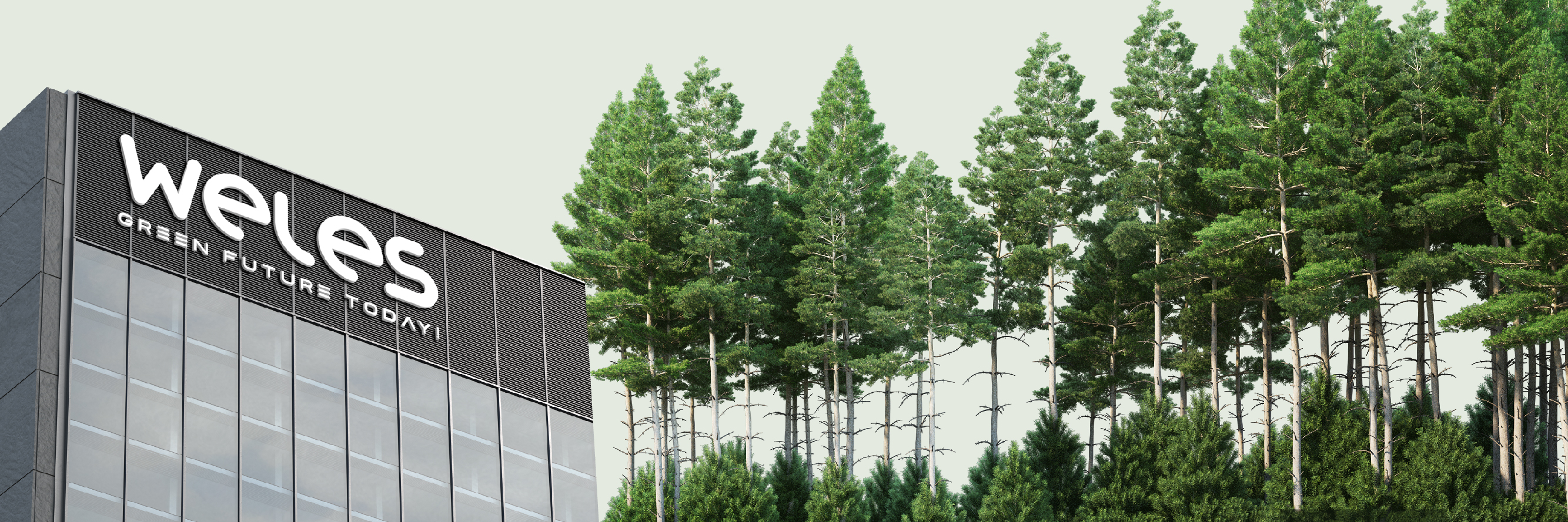 Մեր Մասին WELES Green Future Today
